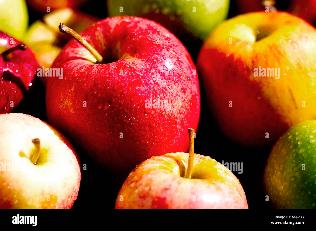 mixed group of various apples Stock Photo - Alamy