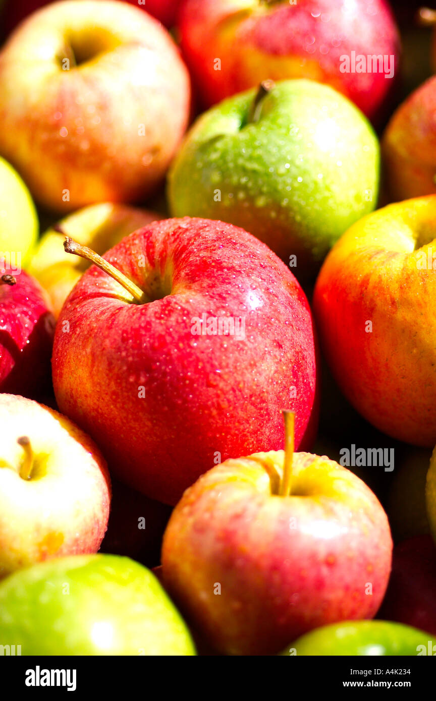 mixed group of various apples Stock Photo - Alamy