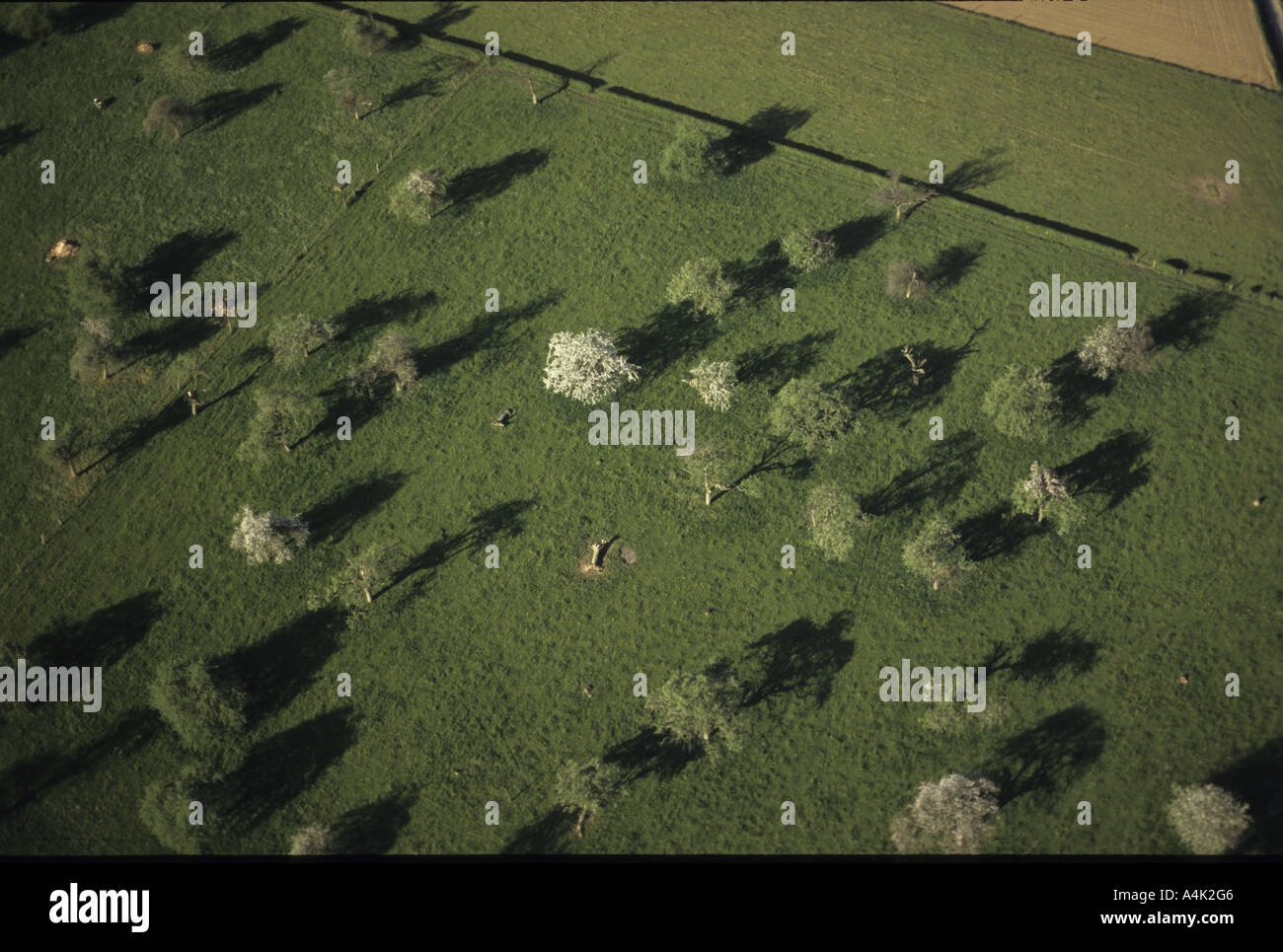 Bocage Country High Resolution Stock Photography and Images - Alamy