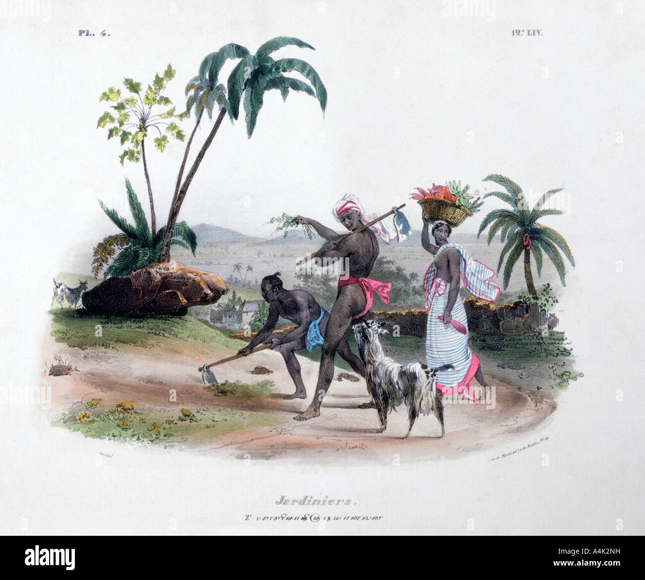 1828 india marlet hi-res stock photography and images - Alamy