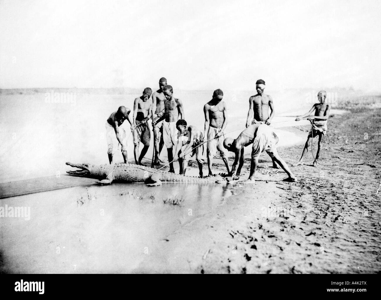 Egyptian hunting Black and White Stock Photos & Images - Alamy