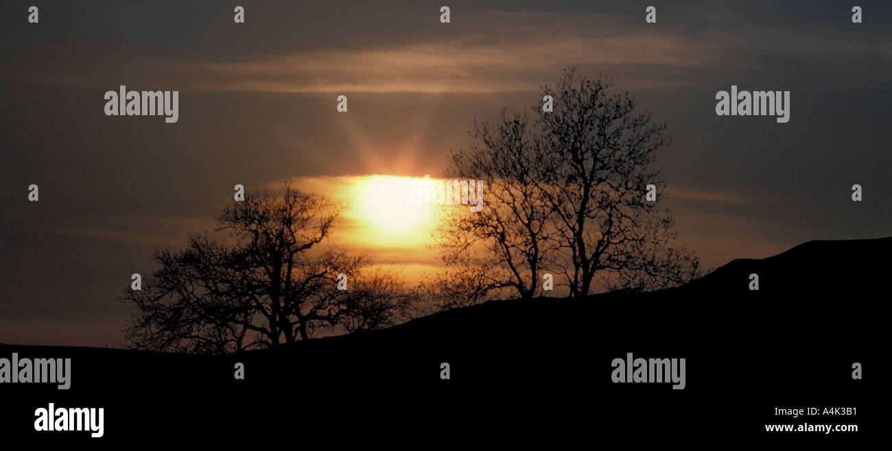 Sunrise North Yorkshire trees and landscape Stock Photo - Alamy