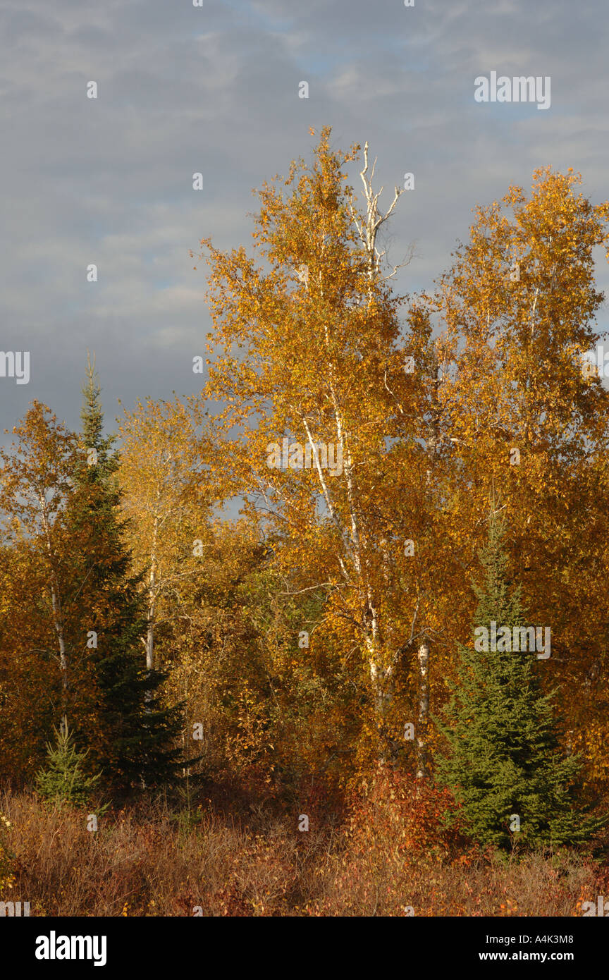 Matlock manitoba hi-res stock photography and images - Alamy