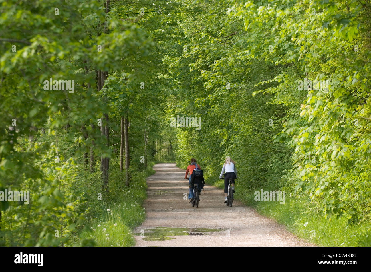 cyclists in forest near Munich Germany Stock Photo - Alamy