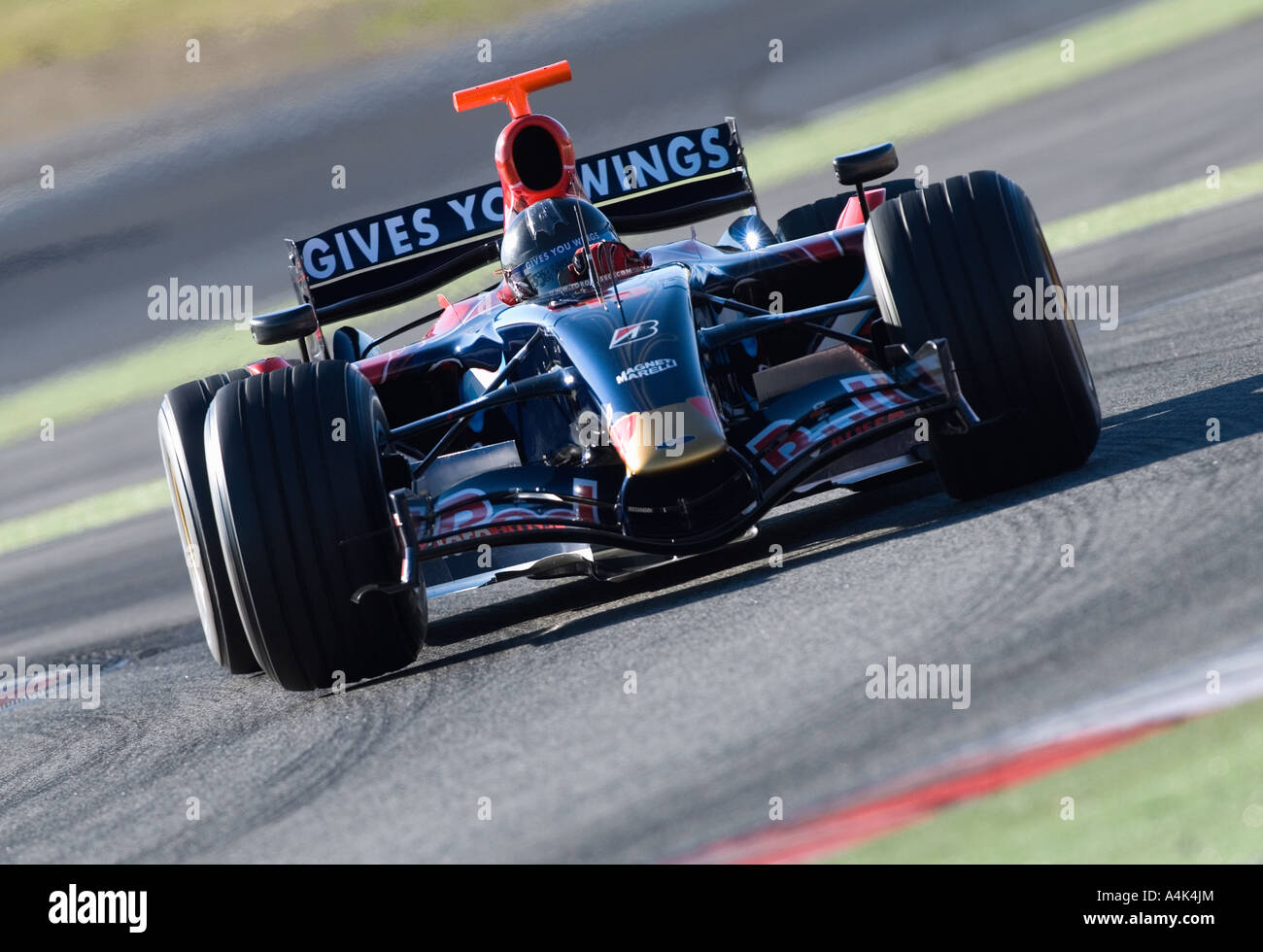 Vitantonio Liuzzi ITA in his Scuderia Toro Rosso Ferrari STR1 racecar ...