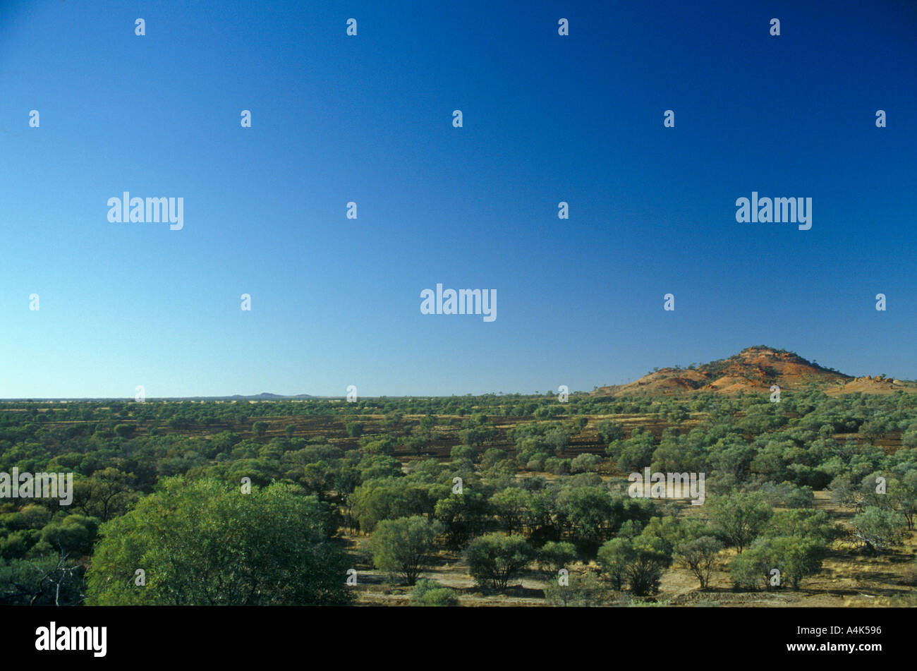 landscape in Outback Australia Stock Photo - Alamy