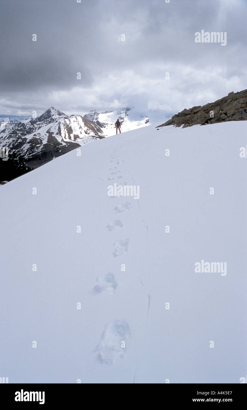 Climber on summit ridge of Mt Wilcox with Athabasca Glacier in ...