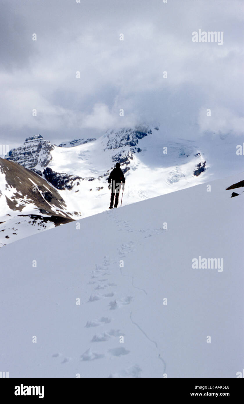 Climber on summit ridge of Mt Wilcox with Athabasca Glacier in ...