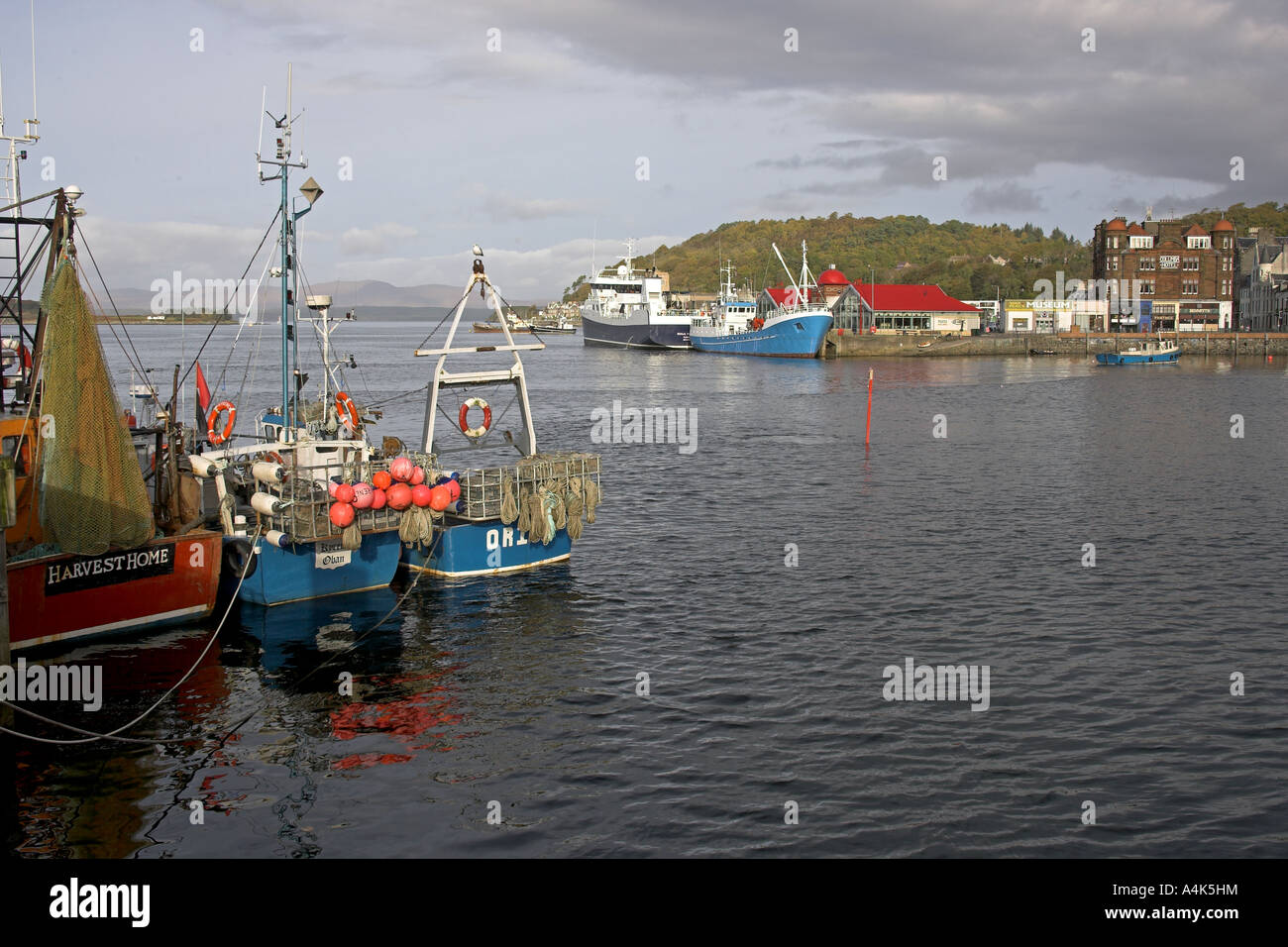 Trawlers and fishing boats docked in Oban Harbour, Argyll & Bute ...
