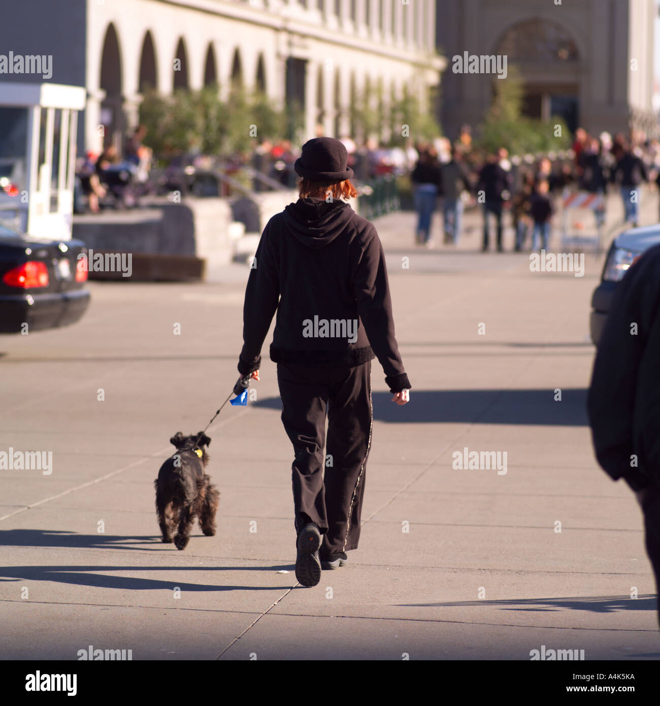Dog walker san francisco hi-res stock photography and images - Alamy
