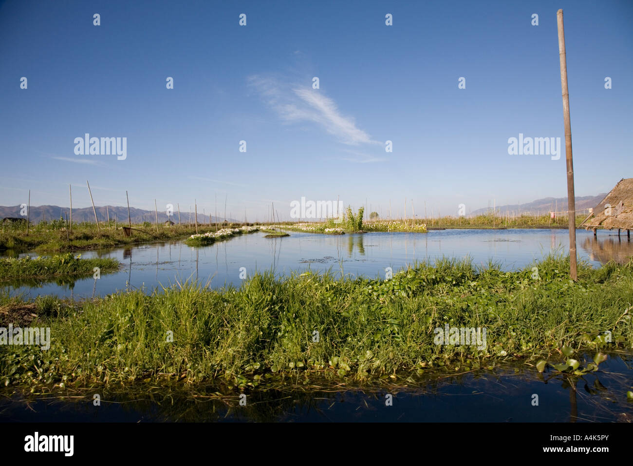 Foating Gardens, Floating Village, Inle Lake, Myanmar Stock Photo - Alamy