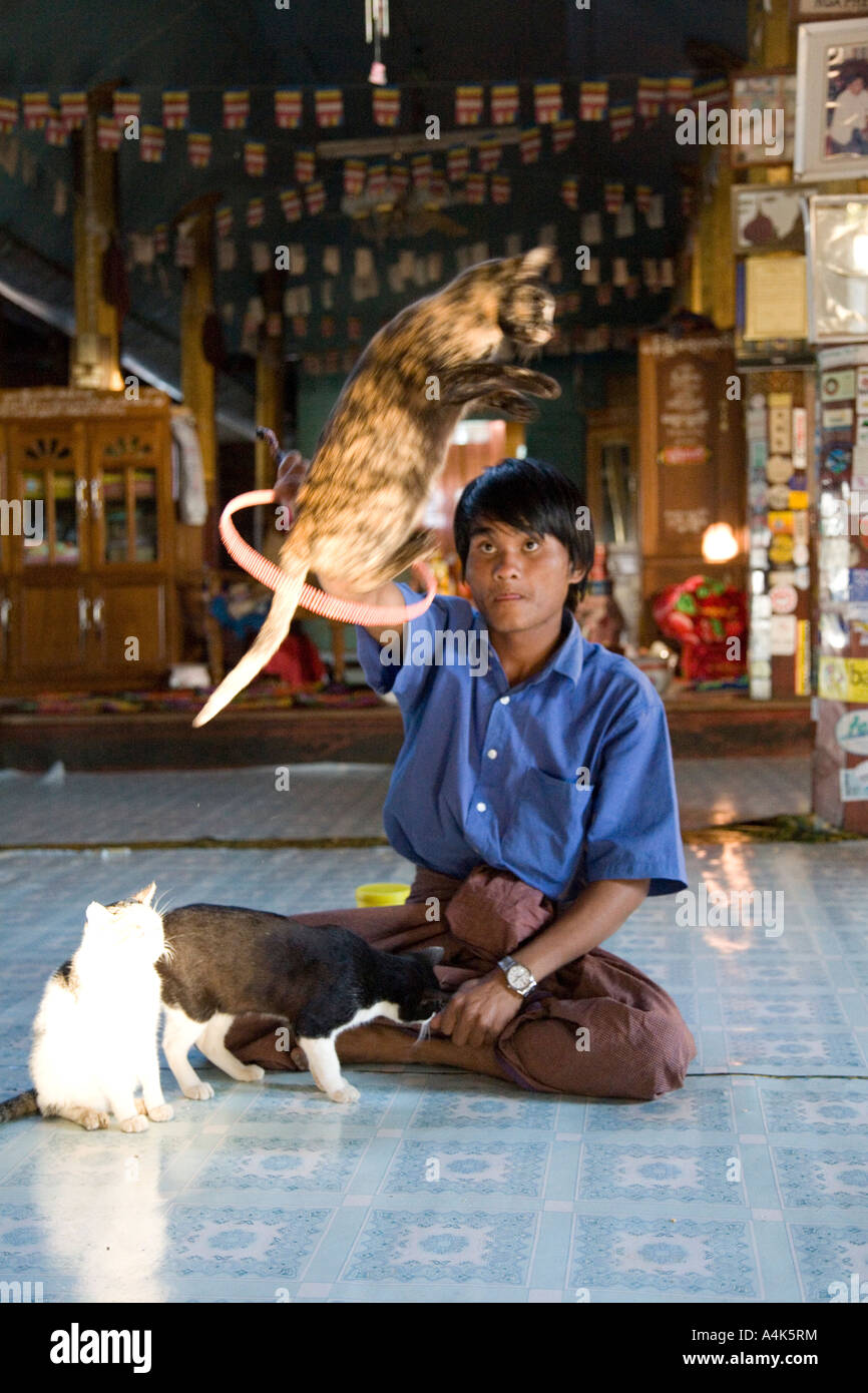 Jumping Cat Monastery, Inle Lake, Myanmar Stock Photo - Alamy