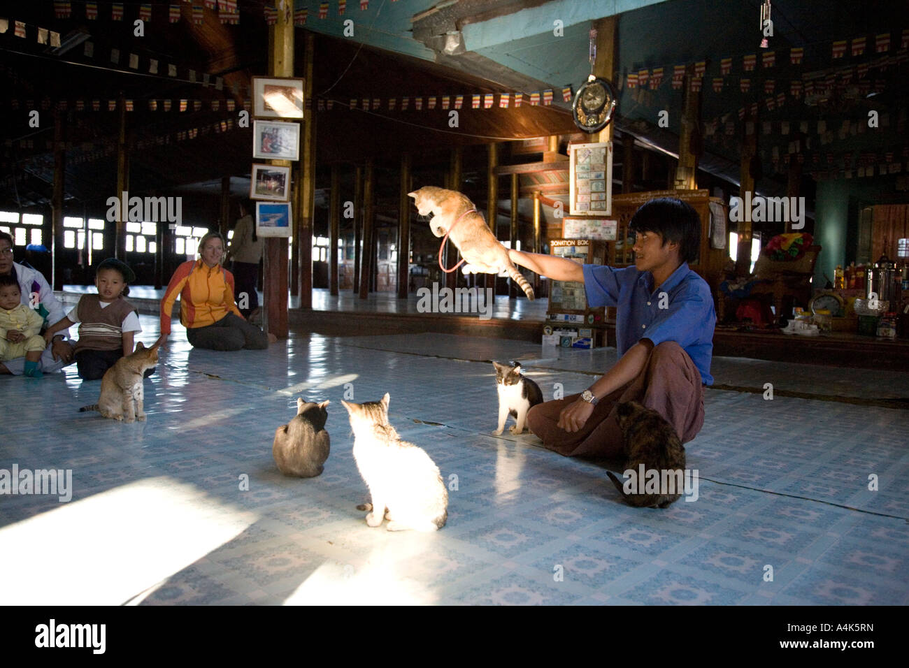 Jumping cat monastery hi-res stock photography and images - Alamy