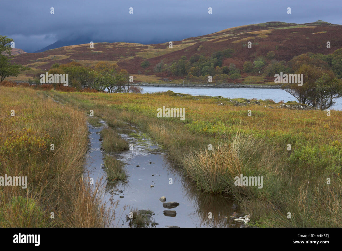Loch spelve croggan isle mull hi-res stock photography and images - Alamy