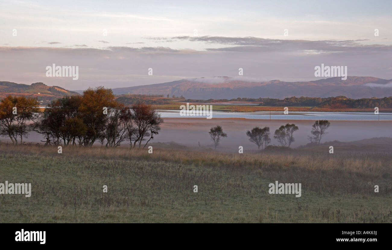 Grasspoint hi-res stock photography and images - Alamy