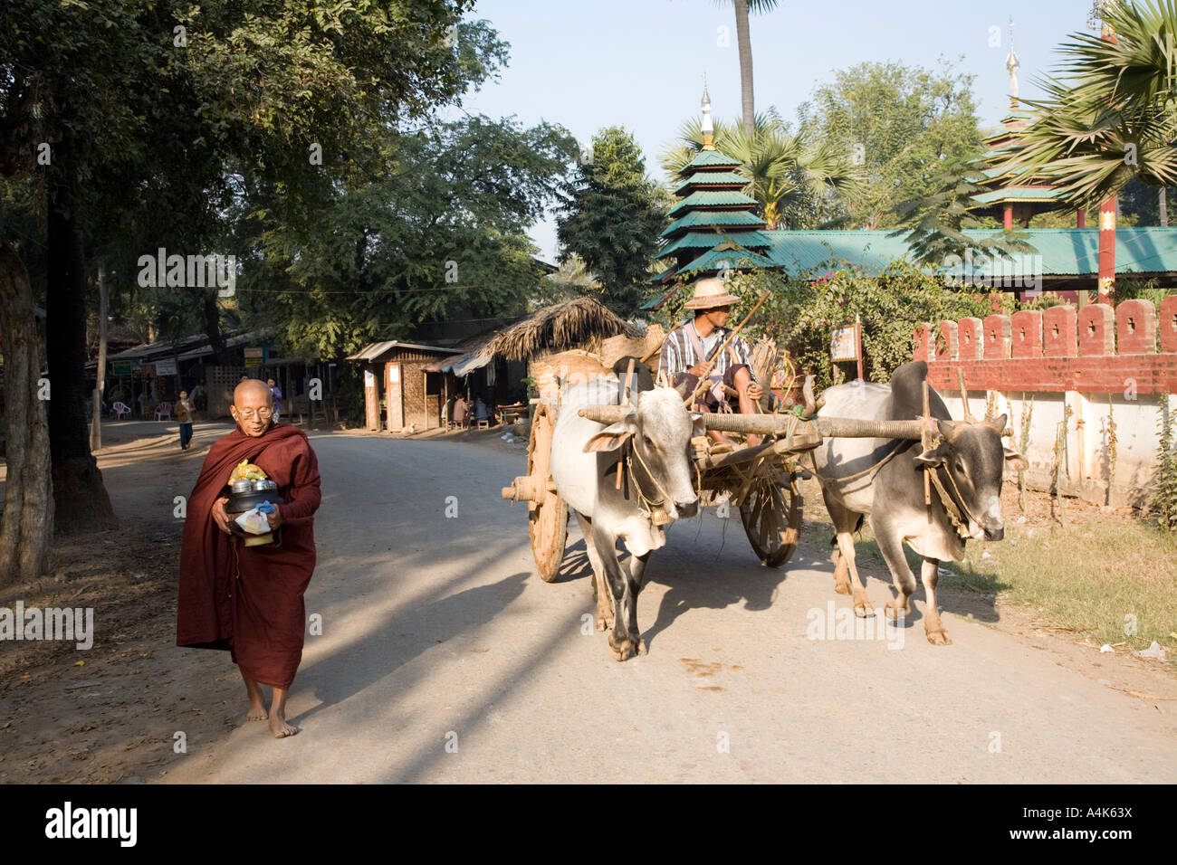 Monk and ox cart hi-res stock photography and images - Alamy