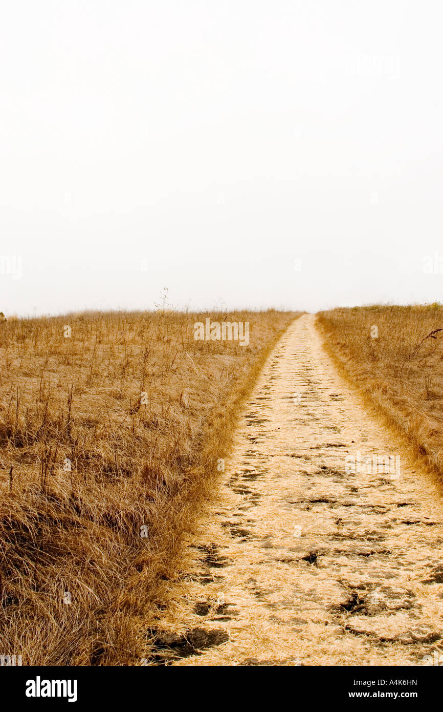 Path of possibilities hi-res stock photography and images - Alamy