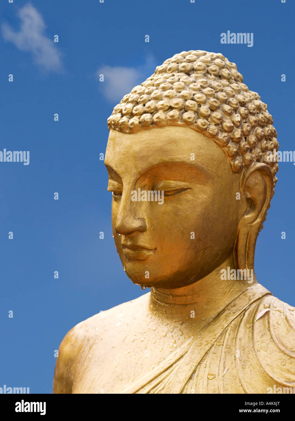 Buddhist temple vincennes paris france hi-res stock photography and ...
