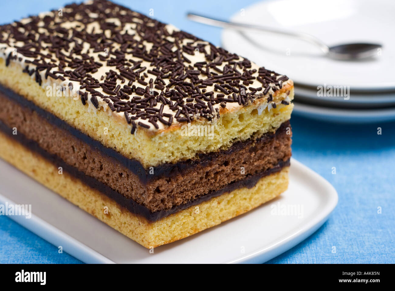 Italian sponge cake with chocolate filling on a white platter Stock ...