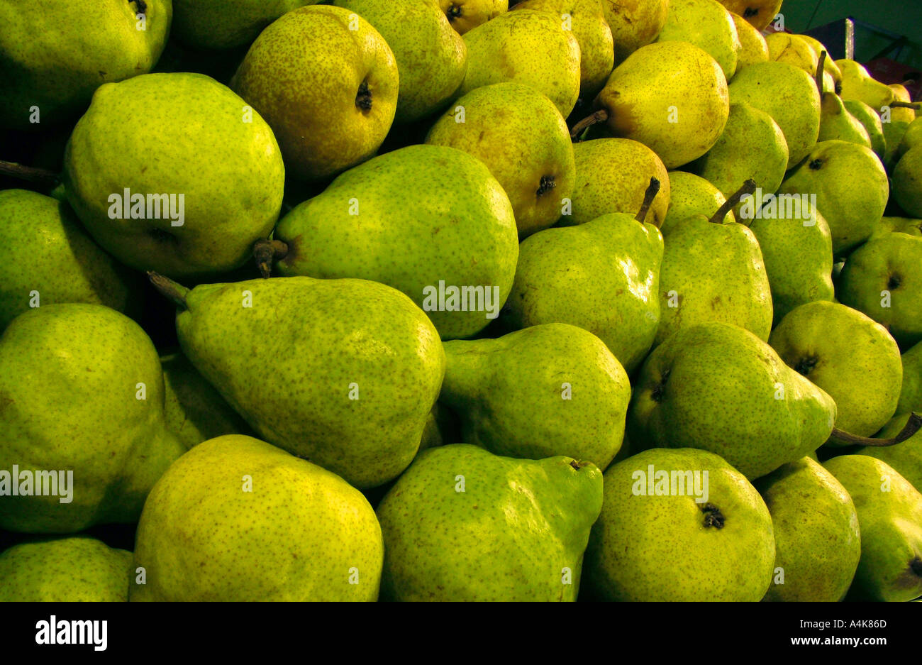 pears on display Stock Photo - Alamy