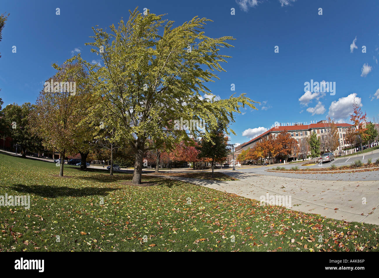 Purdue university memorial mall hi-res stock photography and images - Alamy
