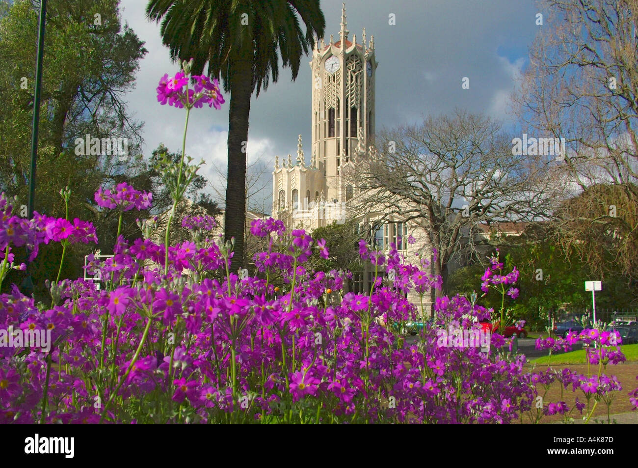 University Of Auckland Campus High Resolution Stock Photography and ...