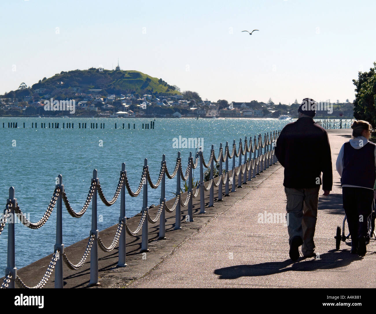 Walking on Tamaki Drive Auckland Stock Photo - Alamy