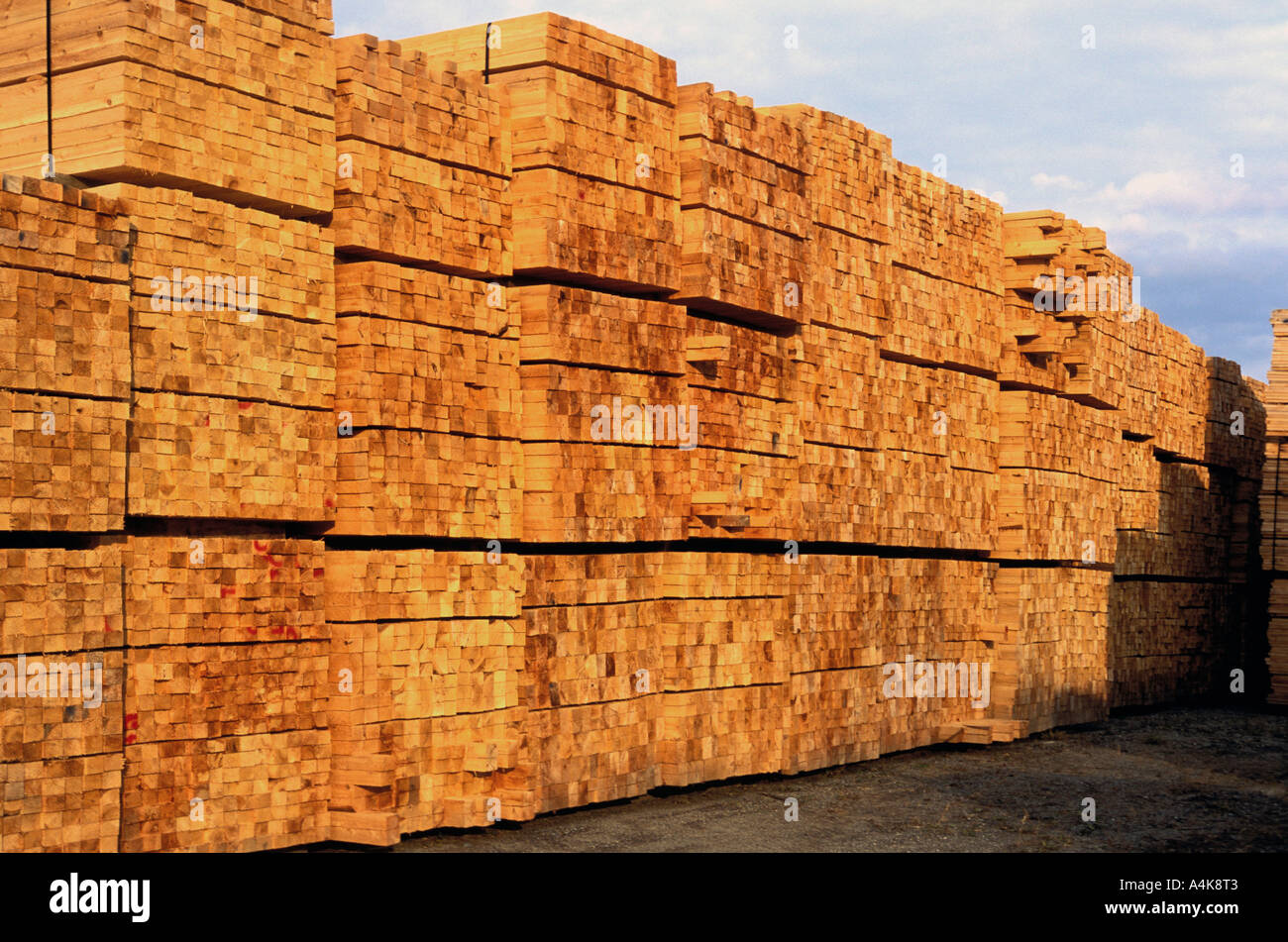 Stacks of wood Stock Photo - Alamy