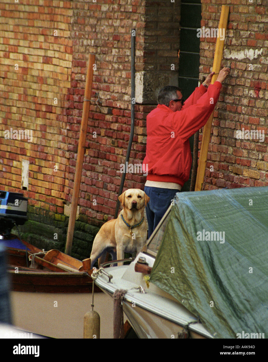 workman and dog working on the canal Venice Italy Stock Photo - Alamy