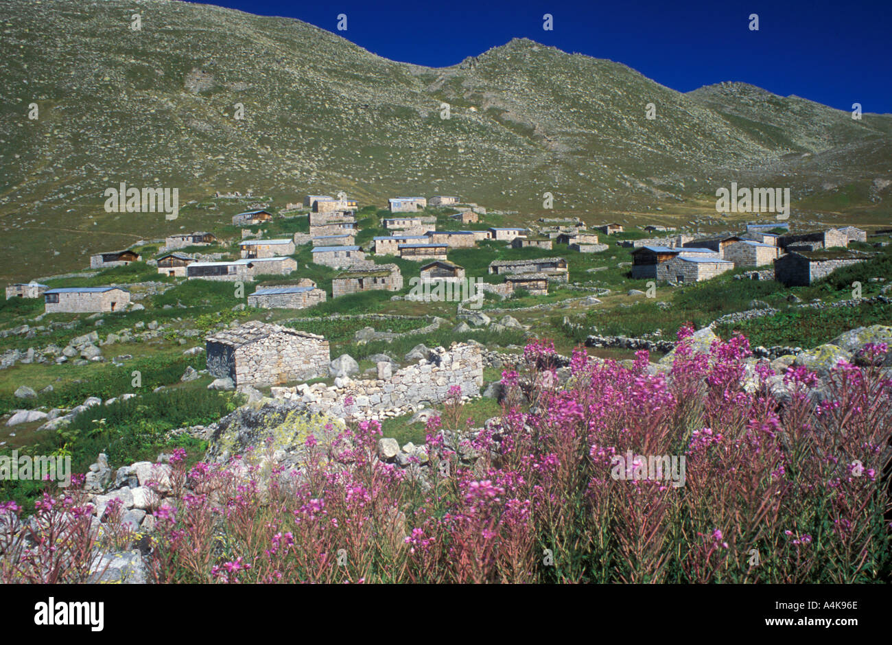 Rize turkey hi-res stock photography and images - Alamy