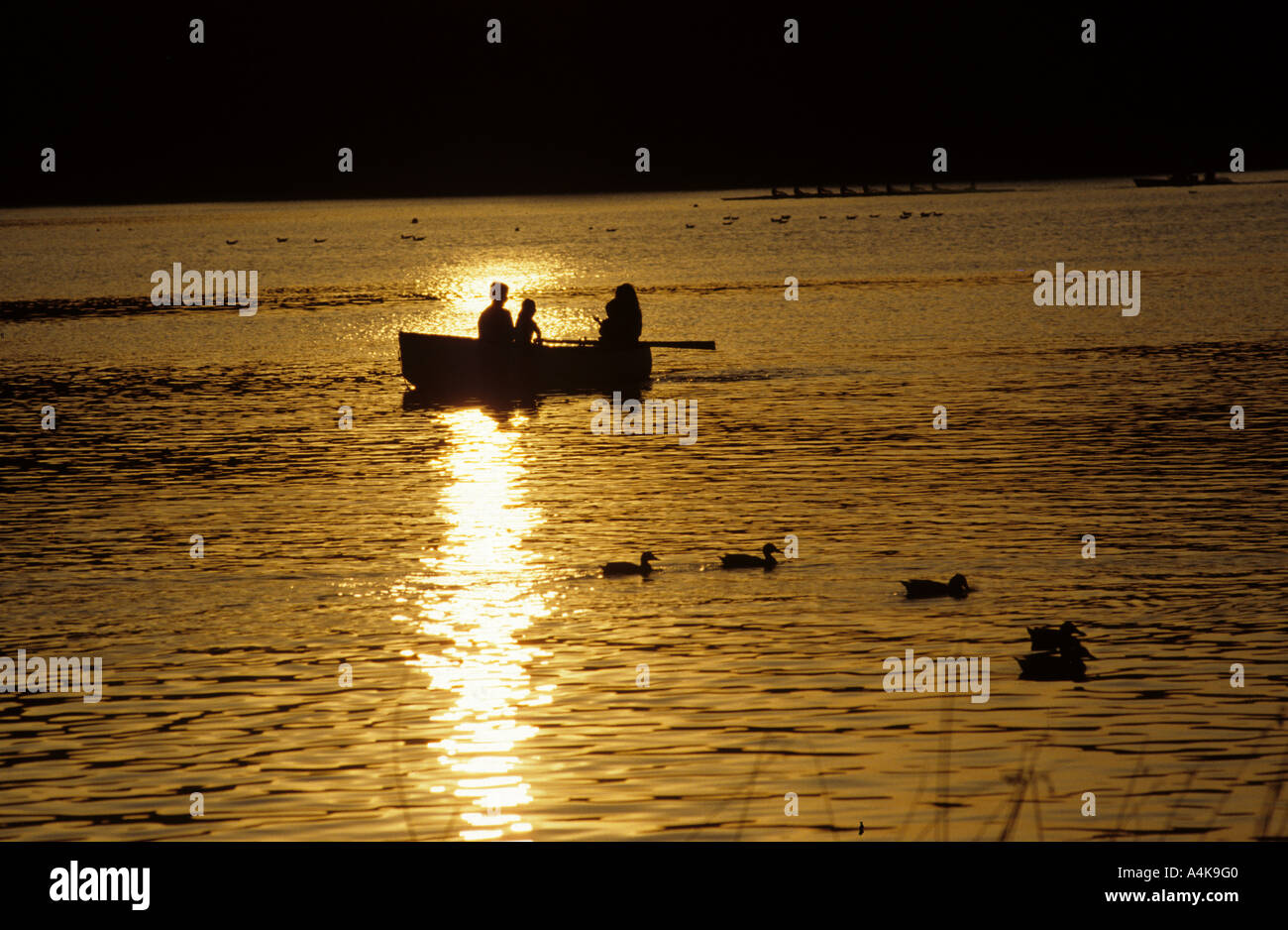 Romantic couple rowing boat sunset hi-res stock photography and images ...