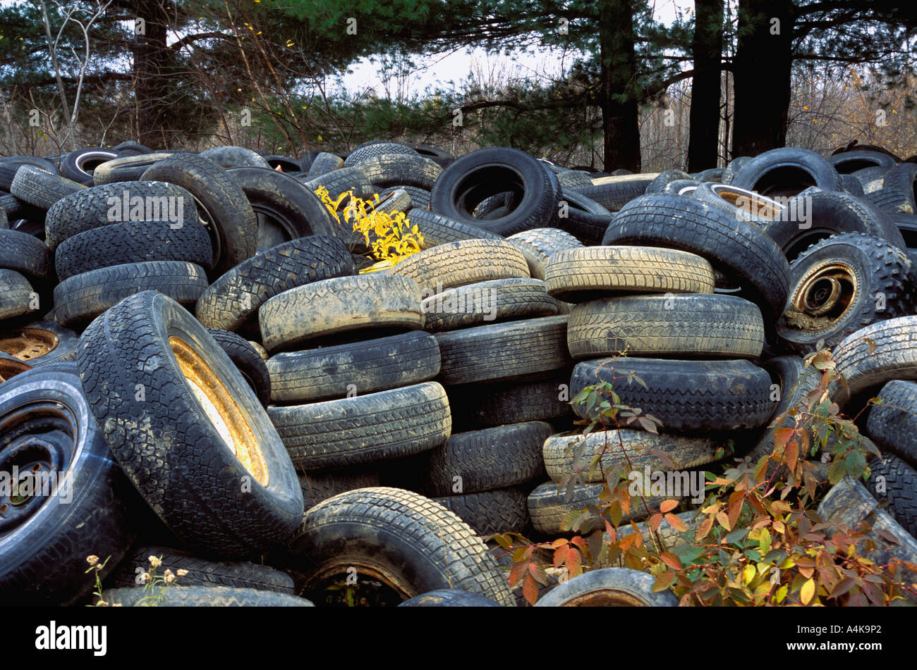 David heap hi-res stock photography and images - Alamy