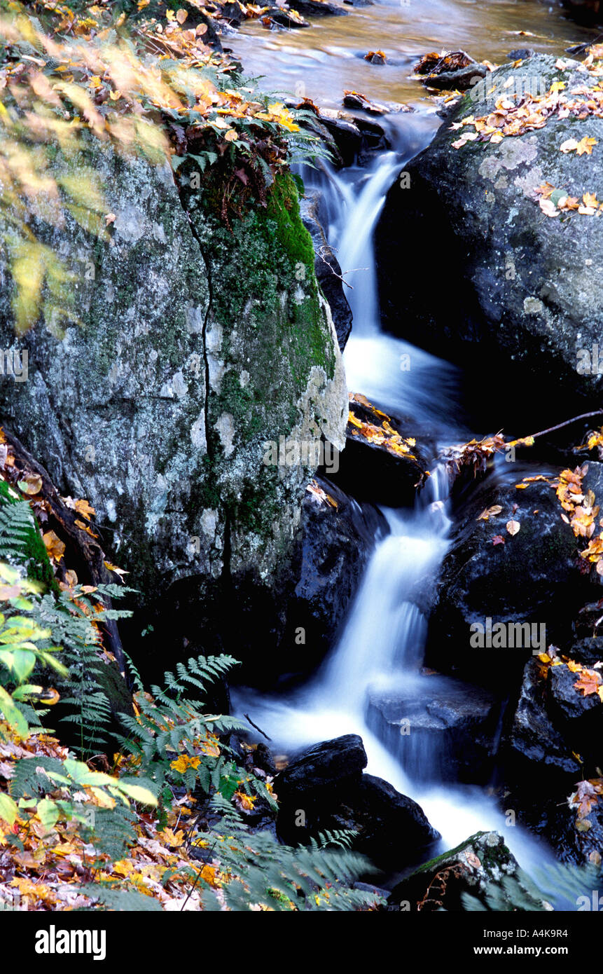 Closeup of a trickling stream Stock Photo - Alamy