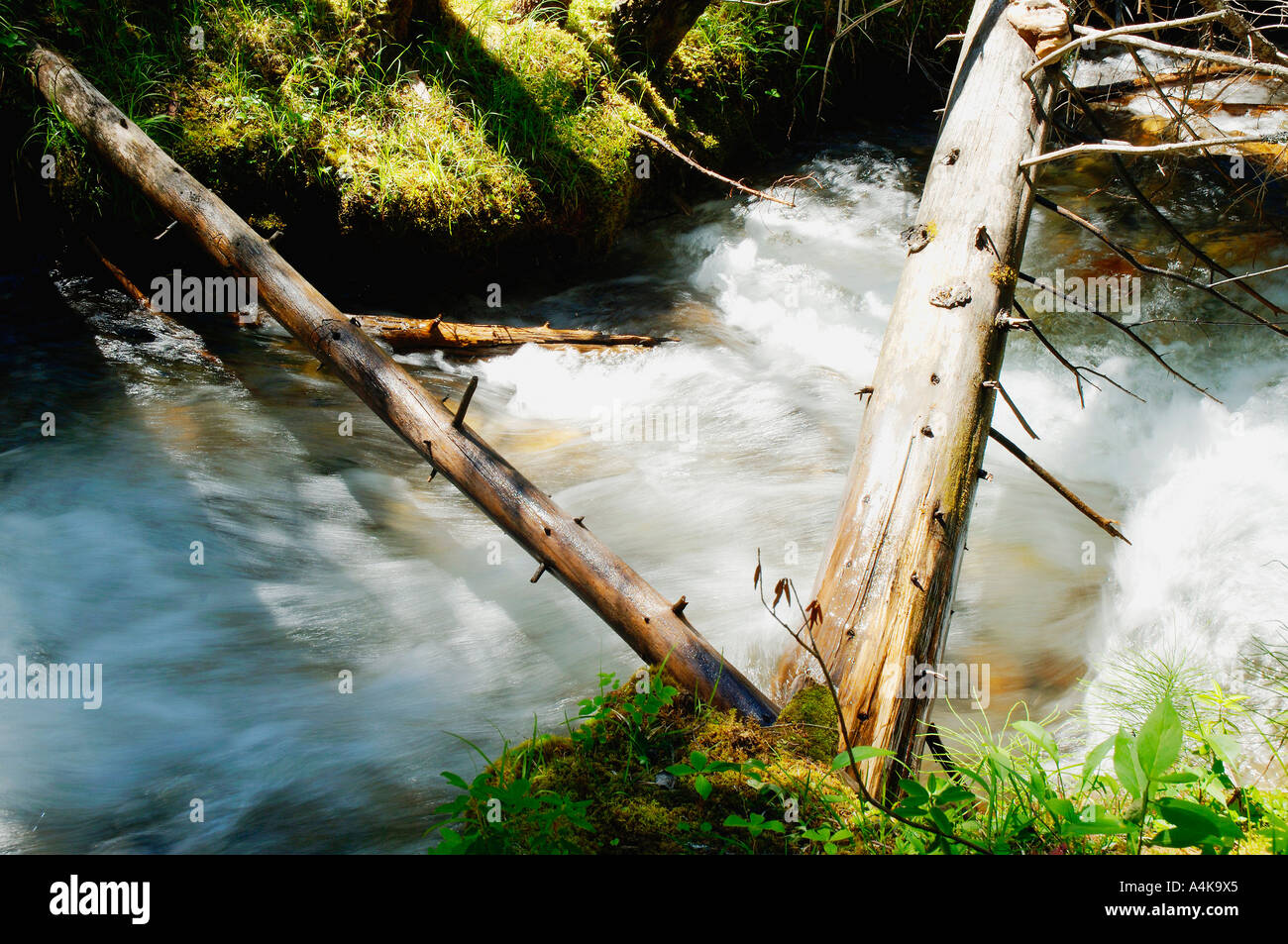 Muz0481 hi-res stock photography and images - Alamy