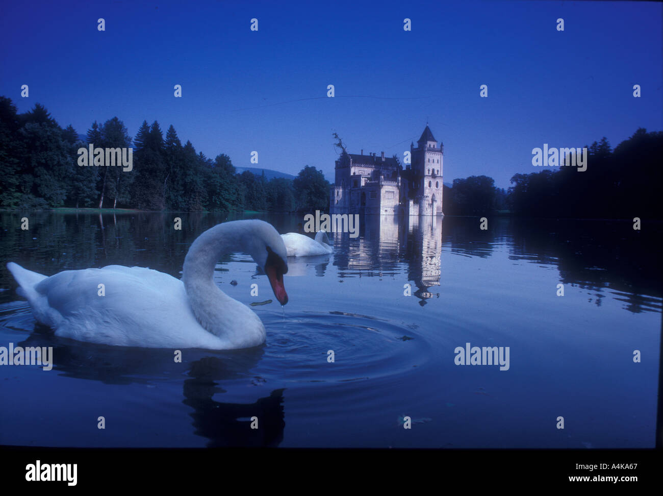 Anif salzburg hi-res stock photography and images - Alamy