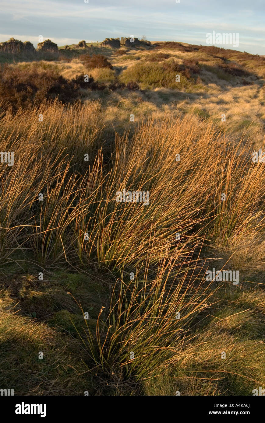 Harrop edge hi-res stock photography and images - Alamy