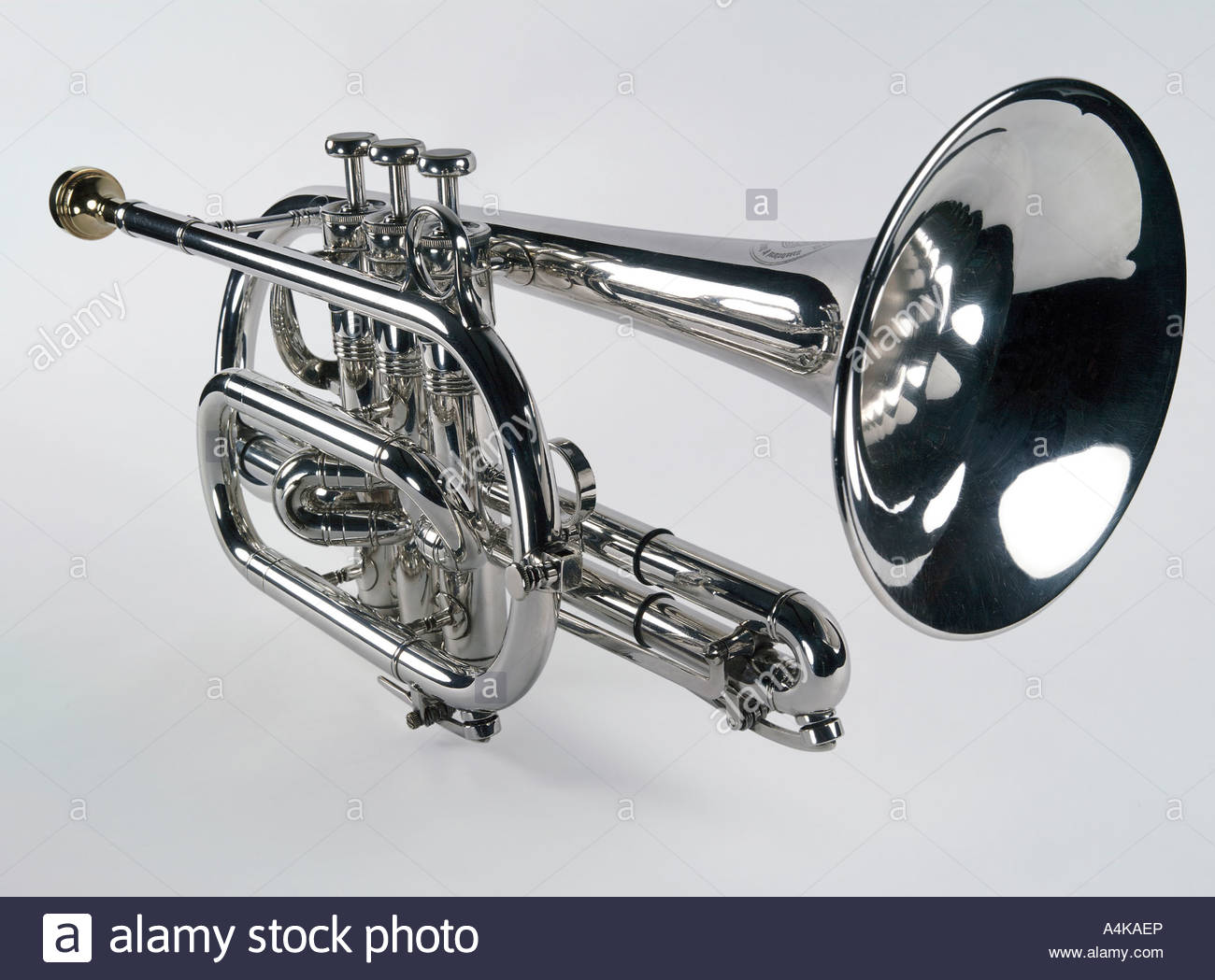 Cornet Band Stock Photos & Cornet Band Stock Images - Alamy