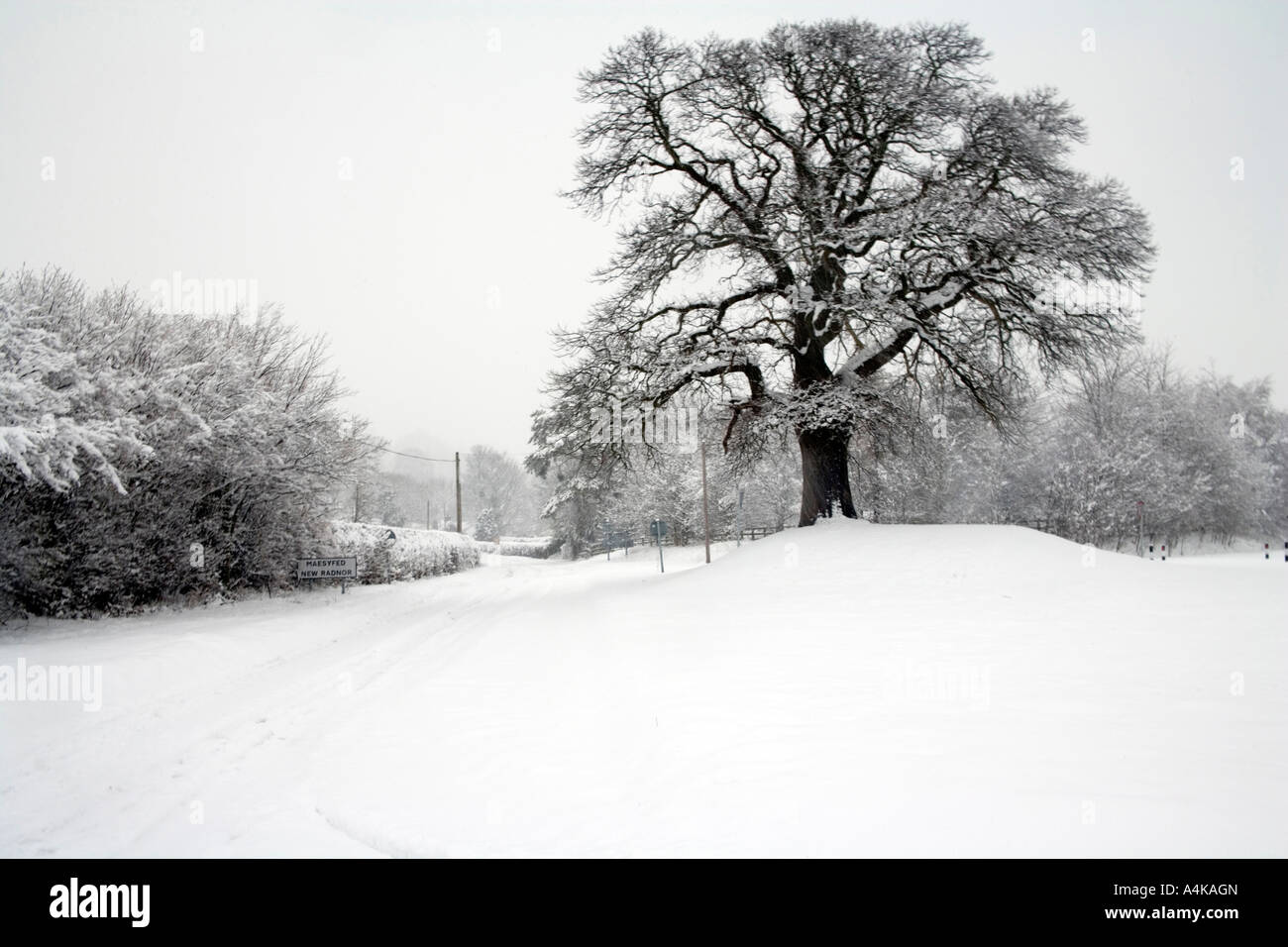 New Radnor in the Snow Stock Photo - Alamy