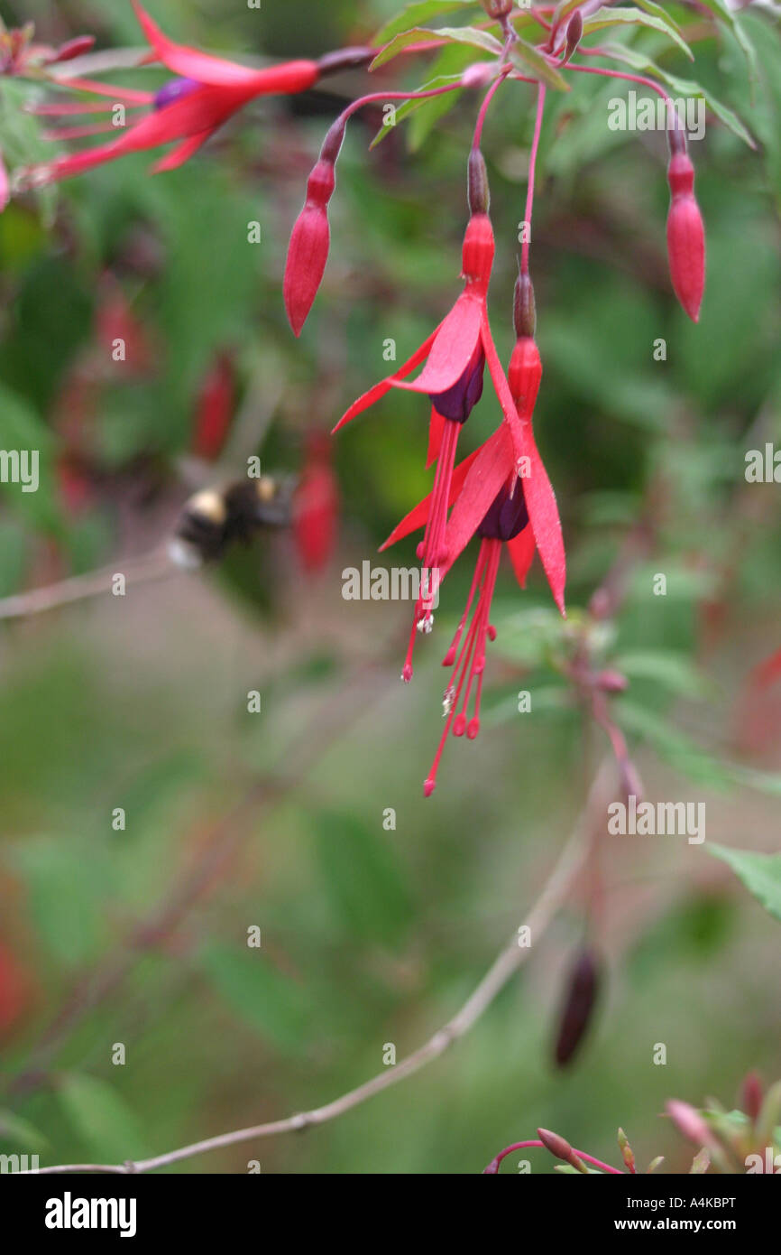 Marinka hi-res stock photography and images - Alamy