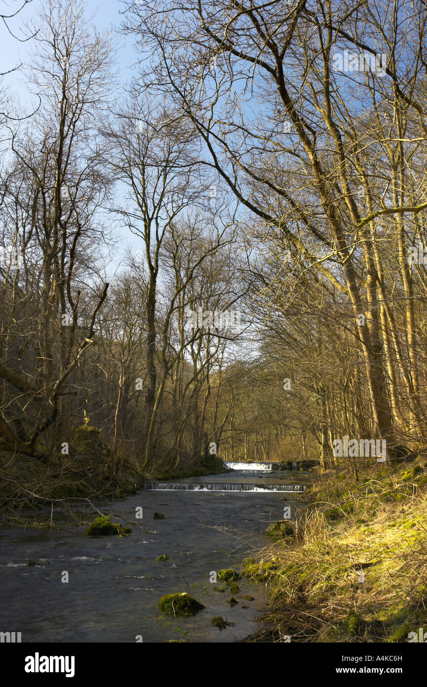 Wood woodland view valley dale hi-res stock photography and images - Alamy