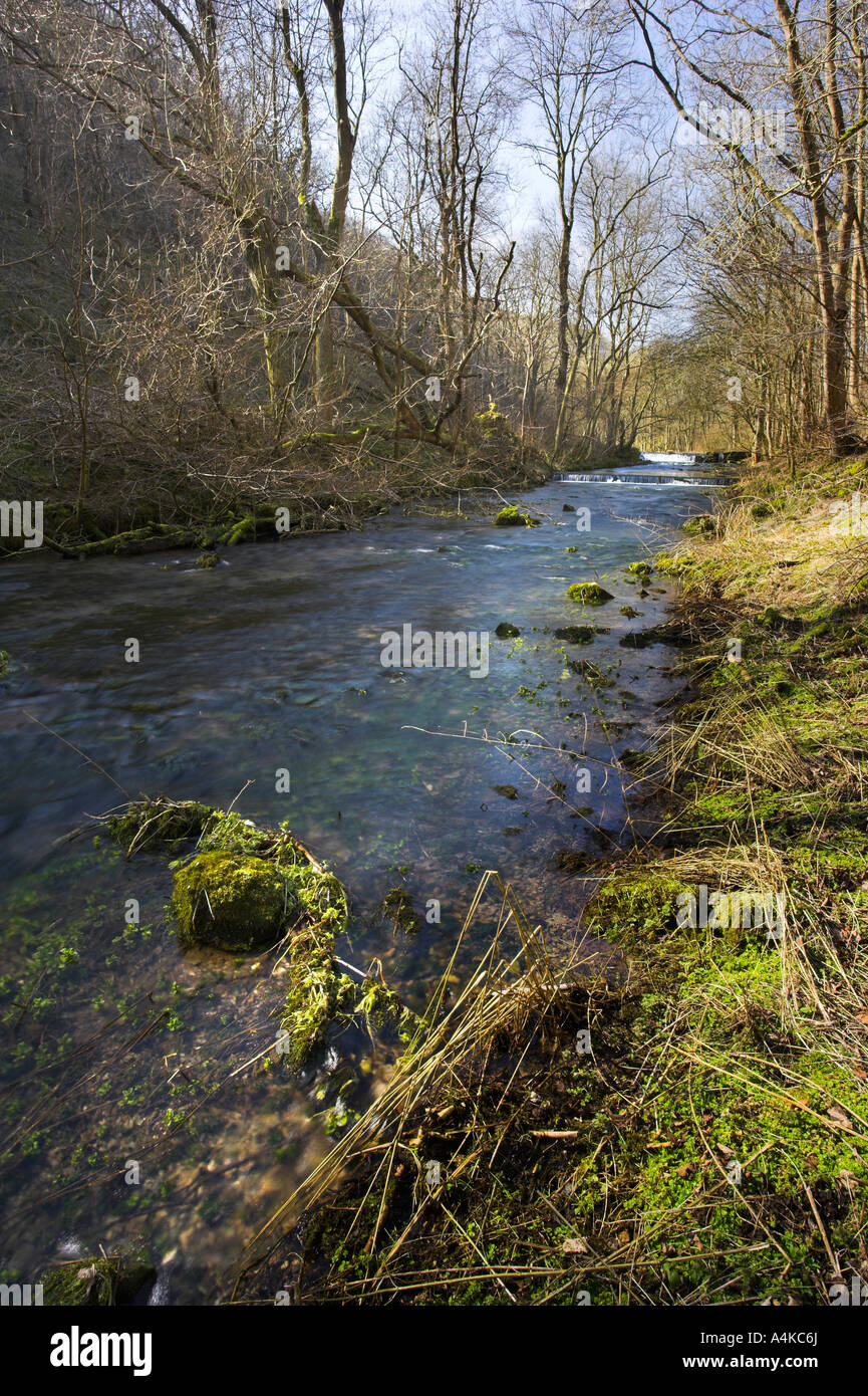 Wood woodland view valley dale hi-res stock photography and images - Alamy