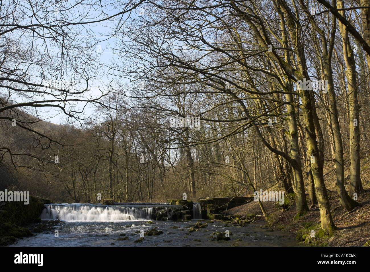 Wood woodland view valley dale hi-res stock photography and images - Alamy