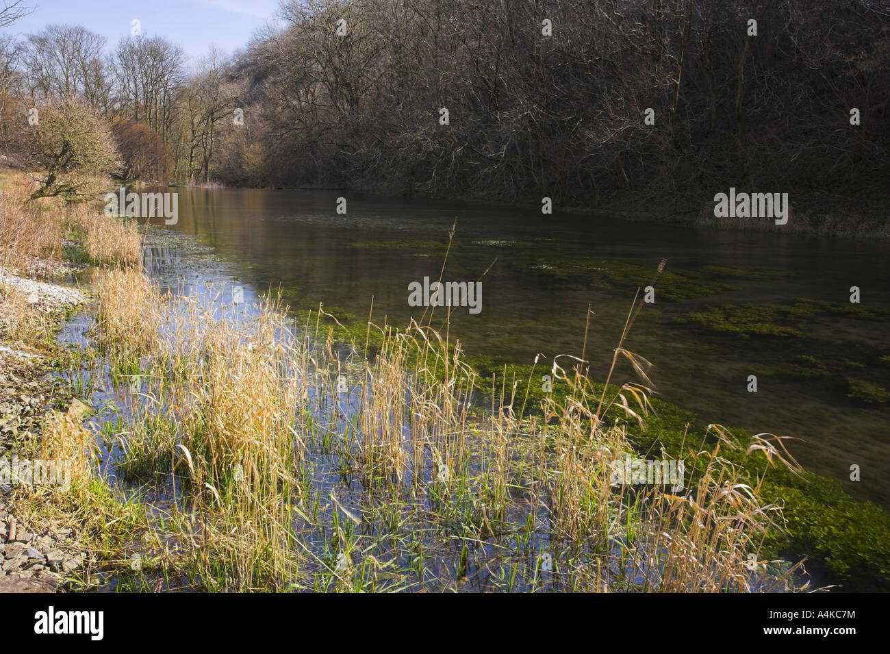 The River Lathkill running through Lathkill Dale in the Peak District ...