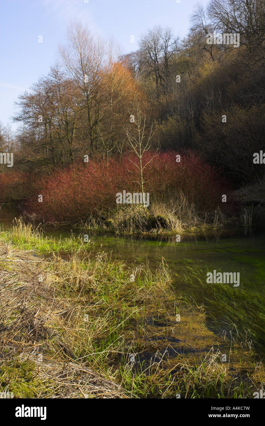 The River Lathkill running through Lathkill Dale in the Peak District ...