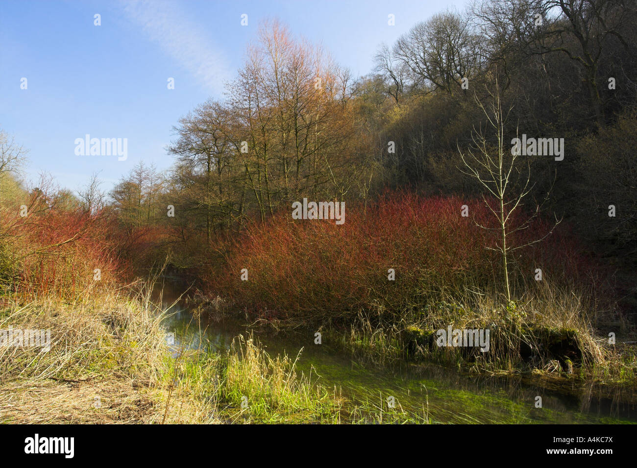 The River Lathkill at Lathkill Dale in the Peak District in Derbyshire ...