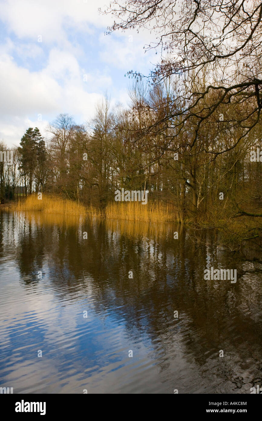 View of Redesmere at Siddington in Cheshire Stock Photo - Alamy