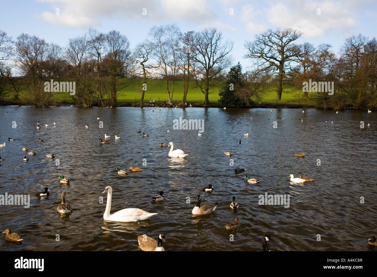 Redesmere lake cheshire hi-res stock photography and images - Alamy