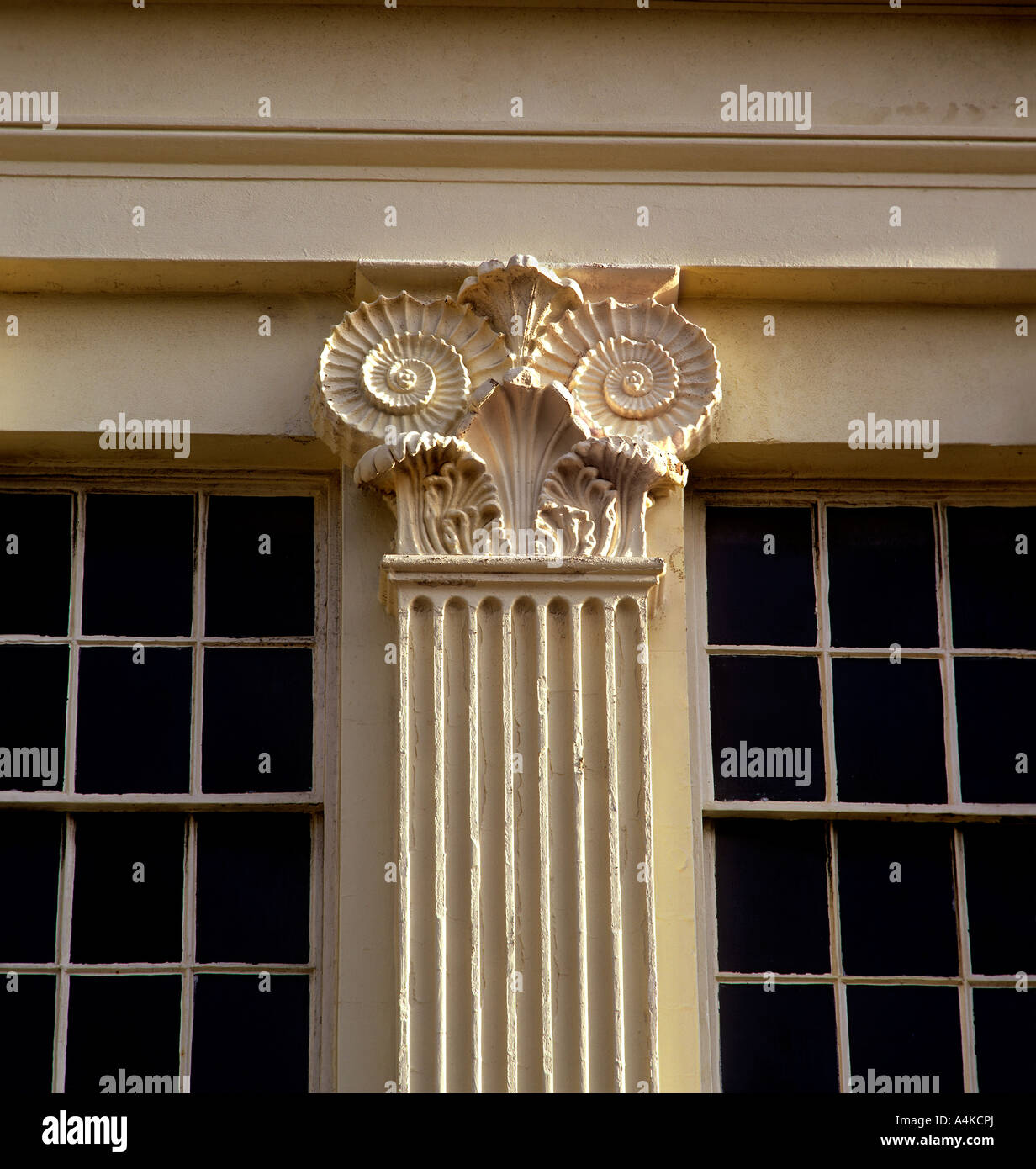 An "ammonite capital" on a Regency terraced house, Oriental Place ...