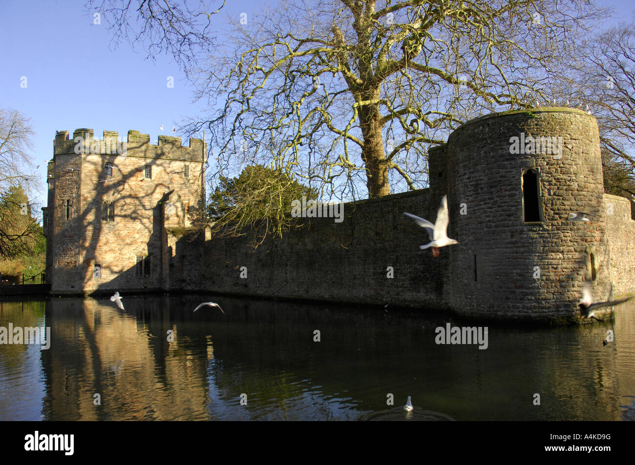 Bishop's Palace and Moat, Wells, England Stock Photo - Alamy
