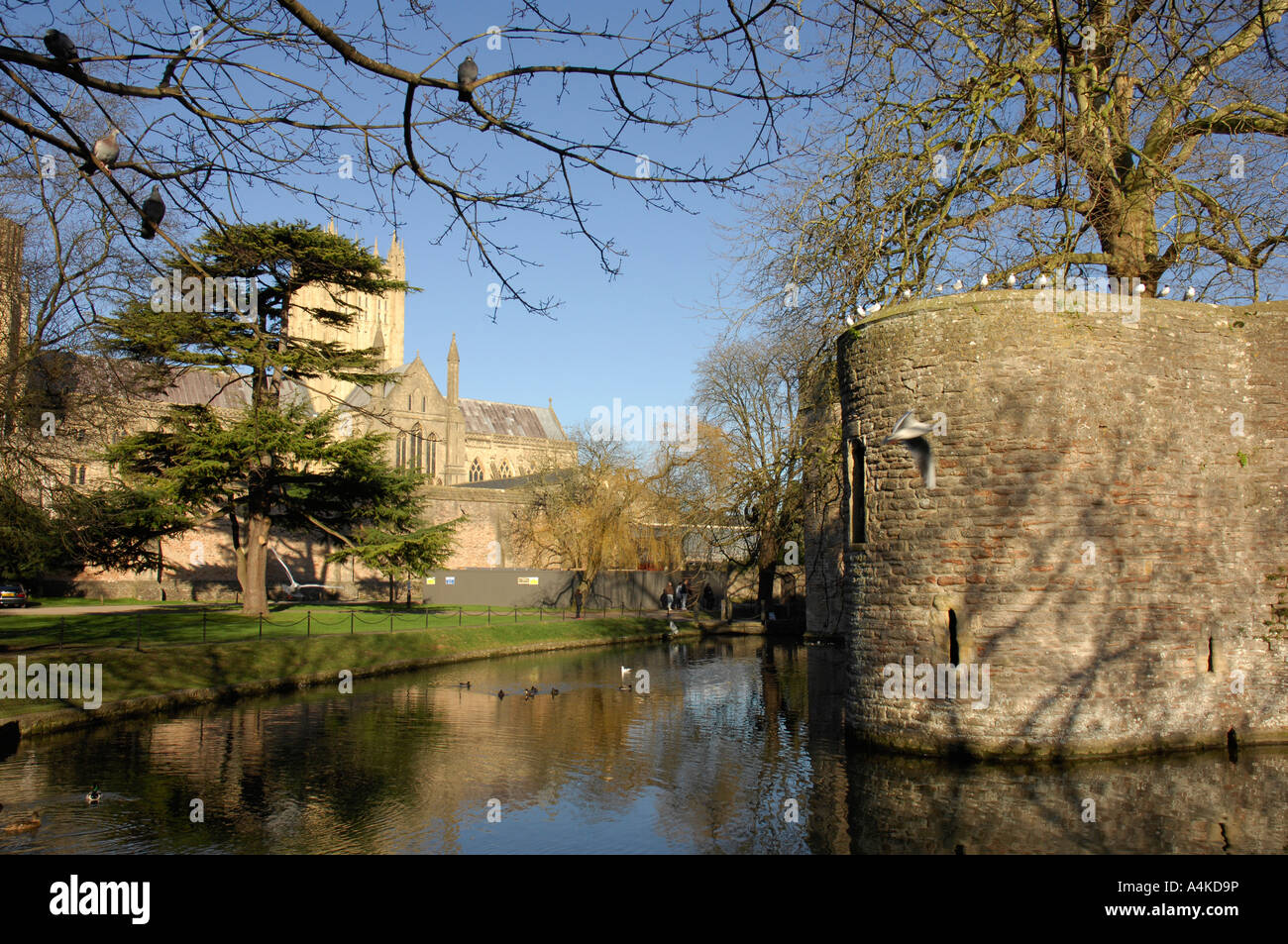 Bishop's Palace and Moat, Wells, England Stock Photo - Alamy